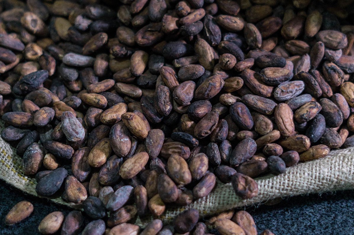 El cacao tiene un lugar especial en nuestros corazones – Posting México